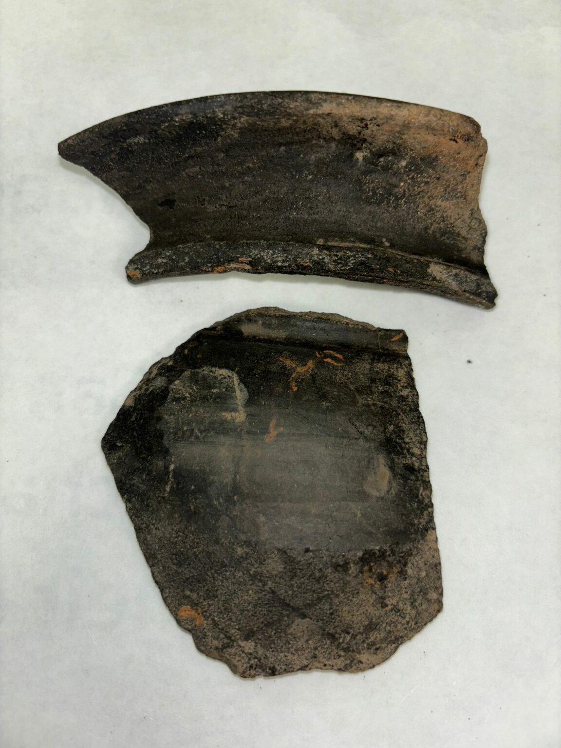 Magna Dig Diary 2024 - Roman Army Museum