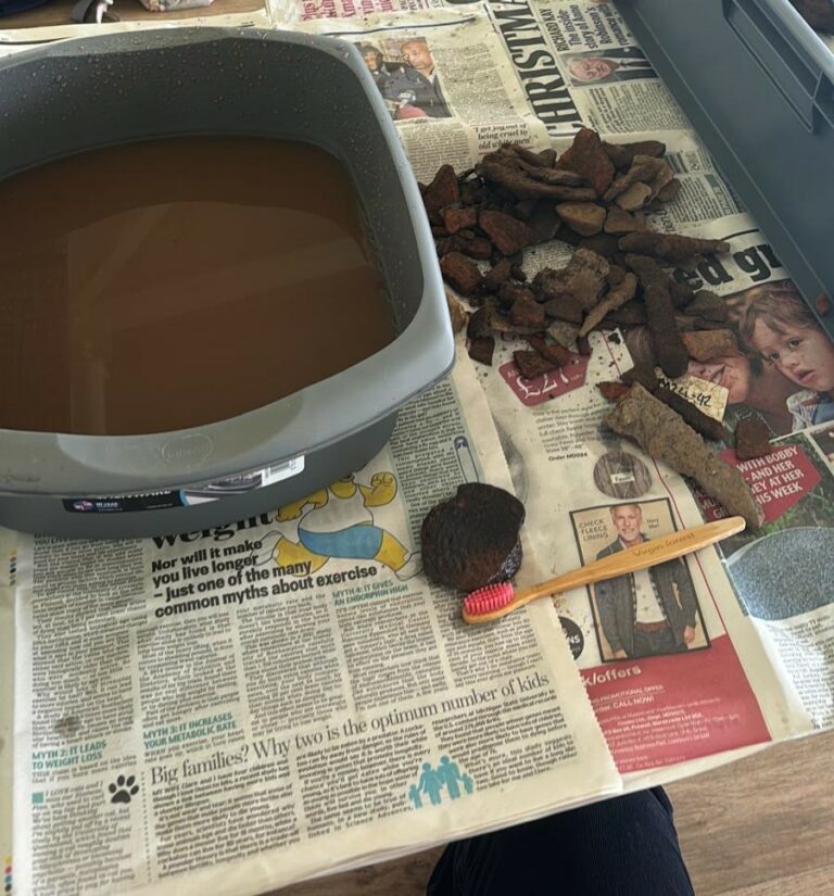 Magna Dig Diary 2024 - Roman Army Museum