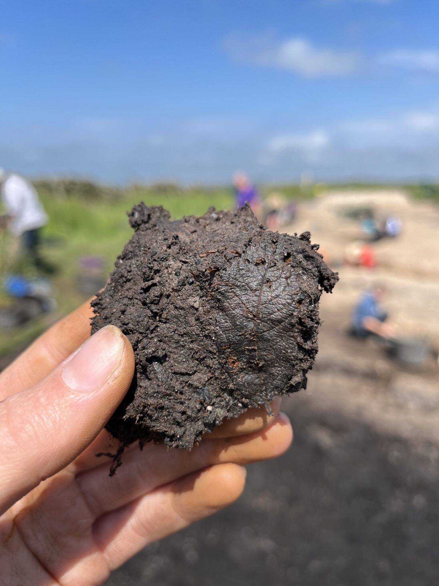 Magna Dig Diary 2024 - Roman Army Museum