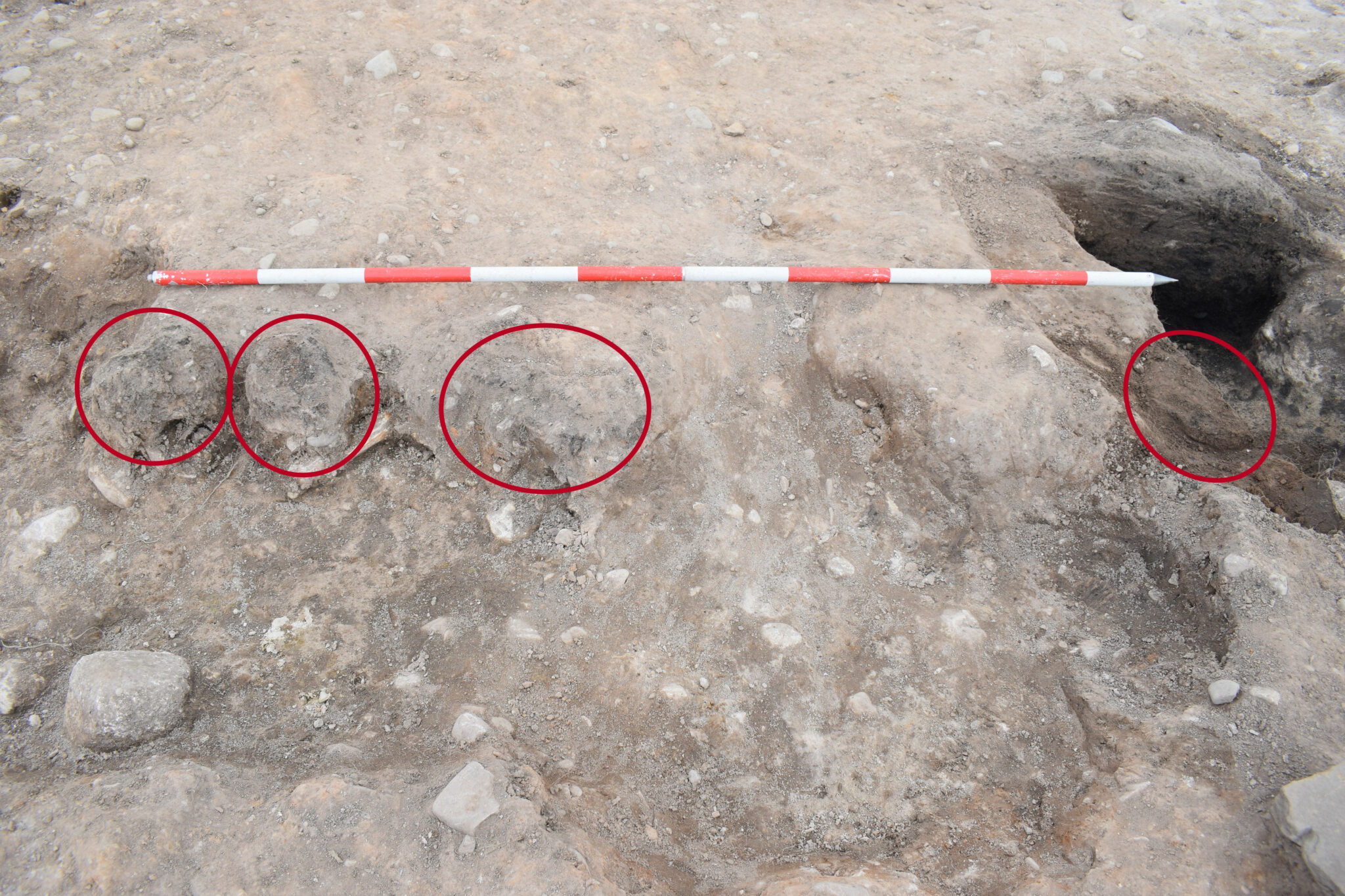 Finding the forgotten: Hadrian’s Wall Dig uncovers ancient cremation ...