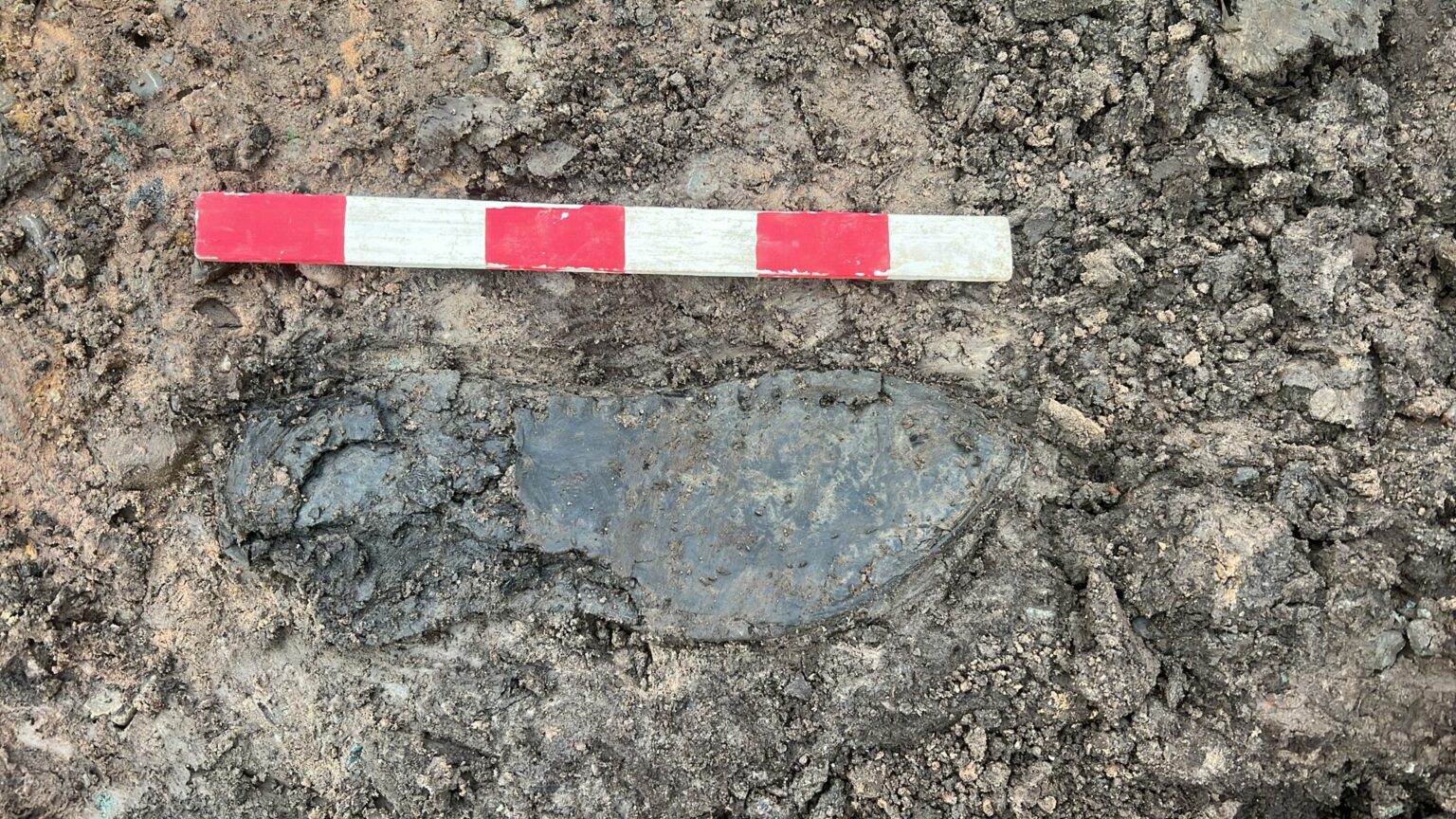 Magna Dig Diary 2024 - Roman Army Museum