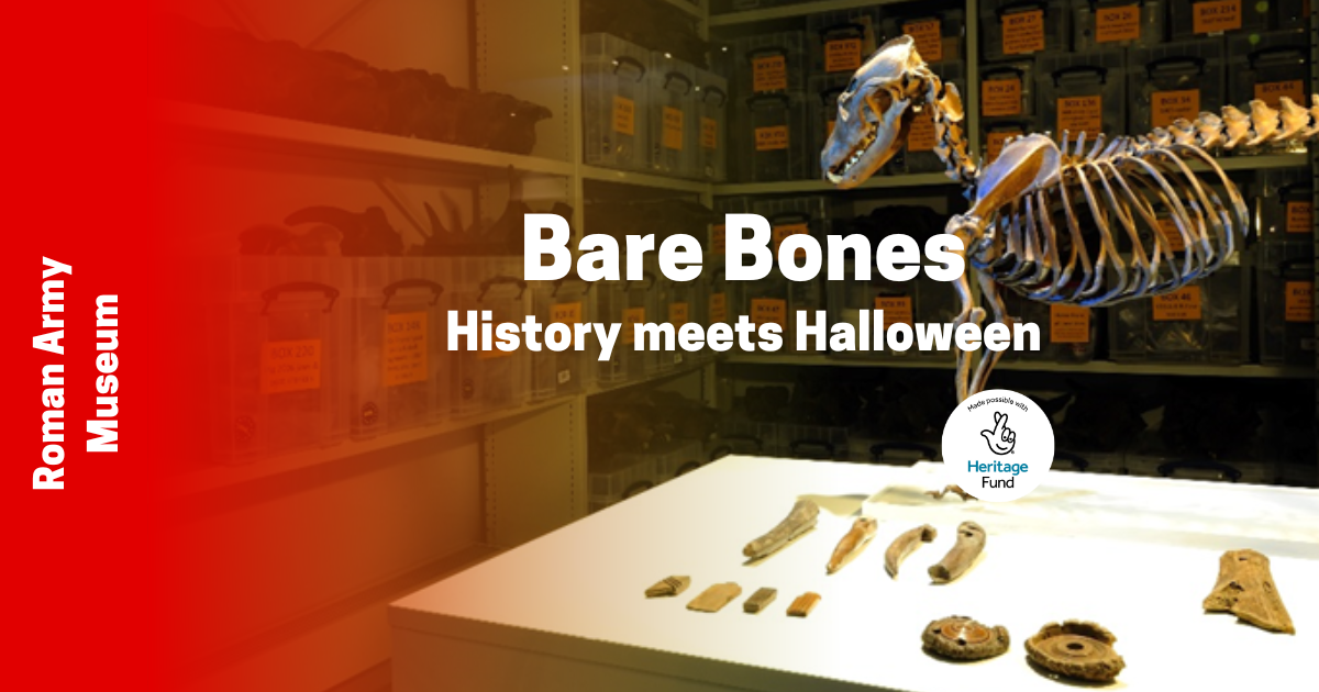 Bare Bones - Roman Army Museum