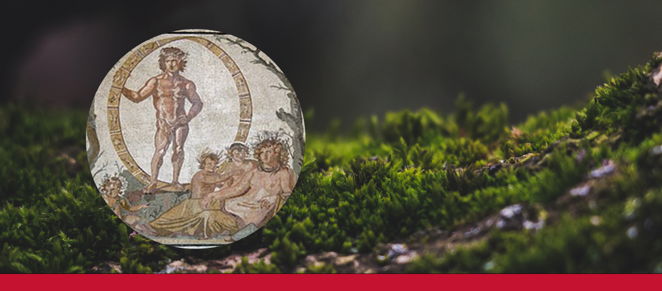 A Celebration of Earth: Exploration of the Elements in 2025 - Roman ...